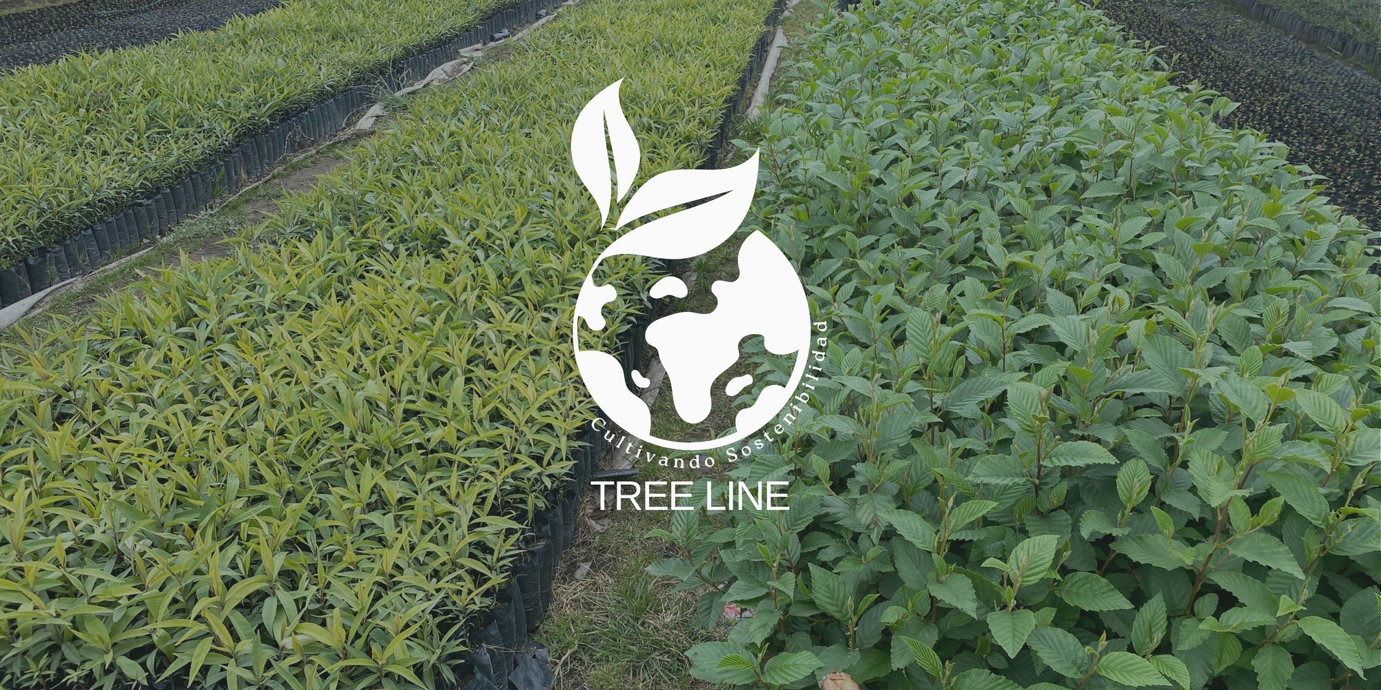 Tree Line